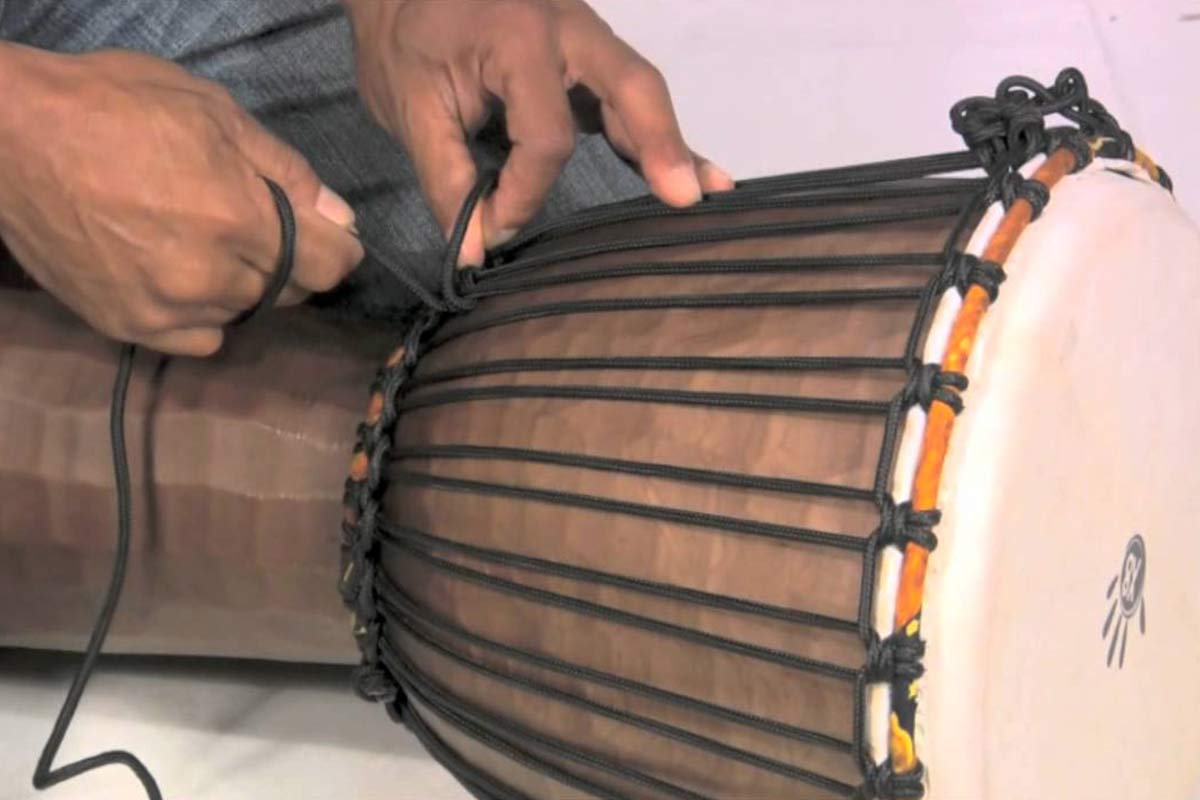 The Djembe - Details About The Djembe | Phamox Music