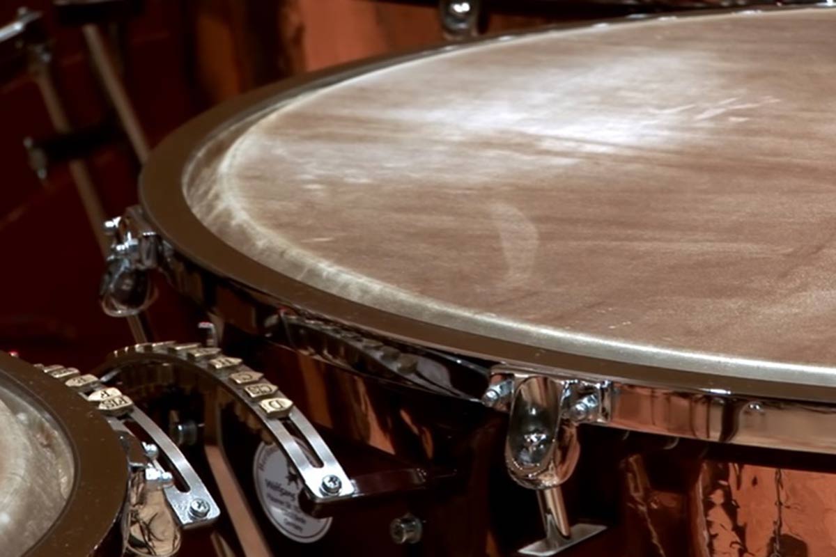 Timpani Drum - Percussive Musical Instrument - Phamox Music