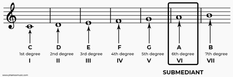 Scale Degree Names - Phamox Music