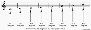 Scale Degree Names - Phamox Music