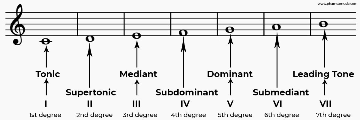 Scale Degree Names - Phamox Music