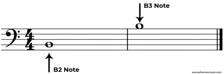 Bass Clef General Overview - Phamox Music