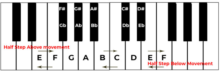 Half Steps And Whole Steps Explained - Phamox Music