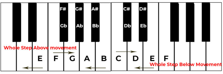 Half Steps And Whole Steps Explained - Phamox Music