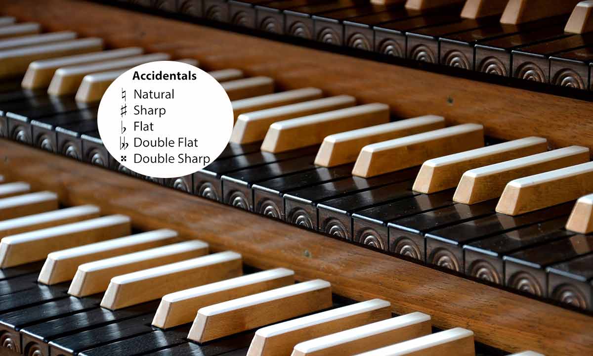 Accidentals In Music Phamox Music Accidentals In Music Phamox Music