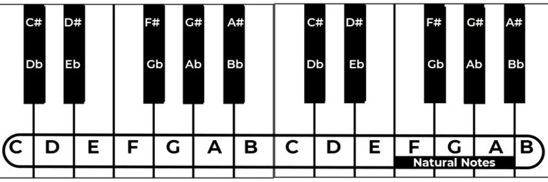 Natural In Music (Overview) - Phamox Music