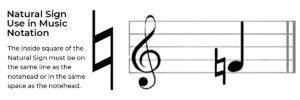 Natural In Music (Overview) - Phamox Music