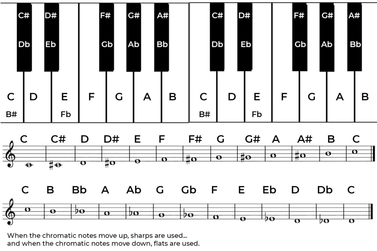 Scale In Music 101 - Phamox Music