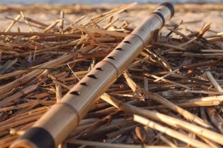 The Bamboo Flute - History, Type and Making - Phamox Music