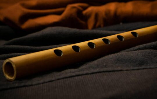 Musical Instruments Archives - Phamox Music