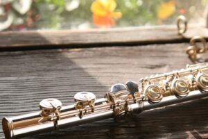 Flute - History, Types, and Maintenance - Phamox Music