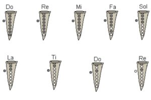 Gemshorn - All About The Horn Instrument - Phamox Music