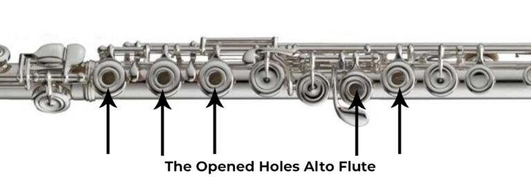Alto Flute - Musical Instrument Guide - Phamox Music