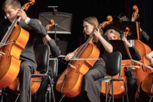 Violin Family - A Quick Guide - Phamox Music