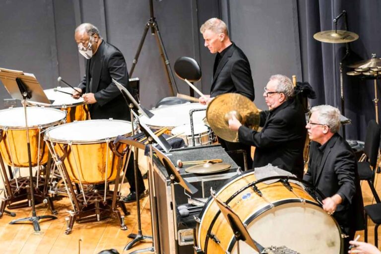 A Quick Guide to the Orchestra Sections - Phamox Music