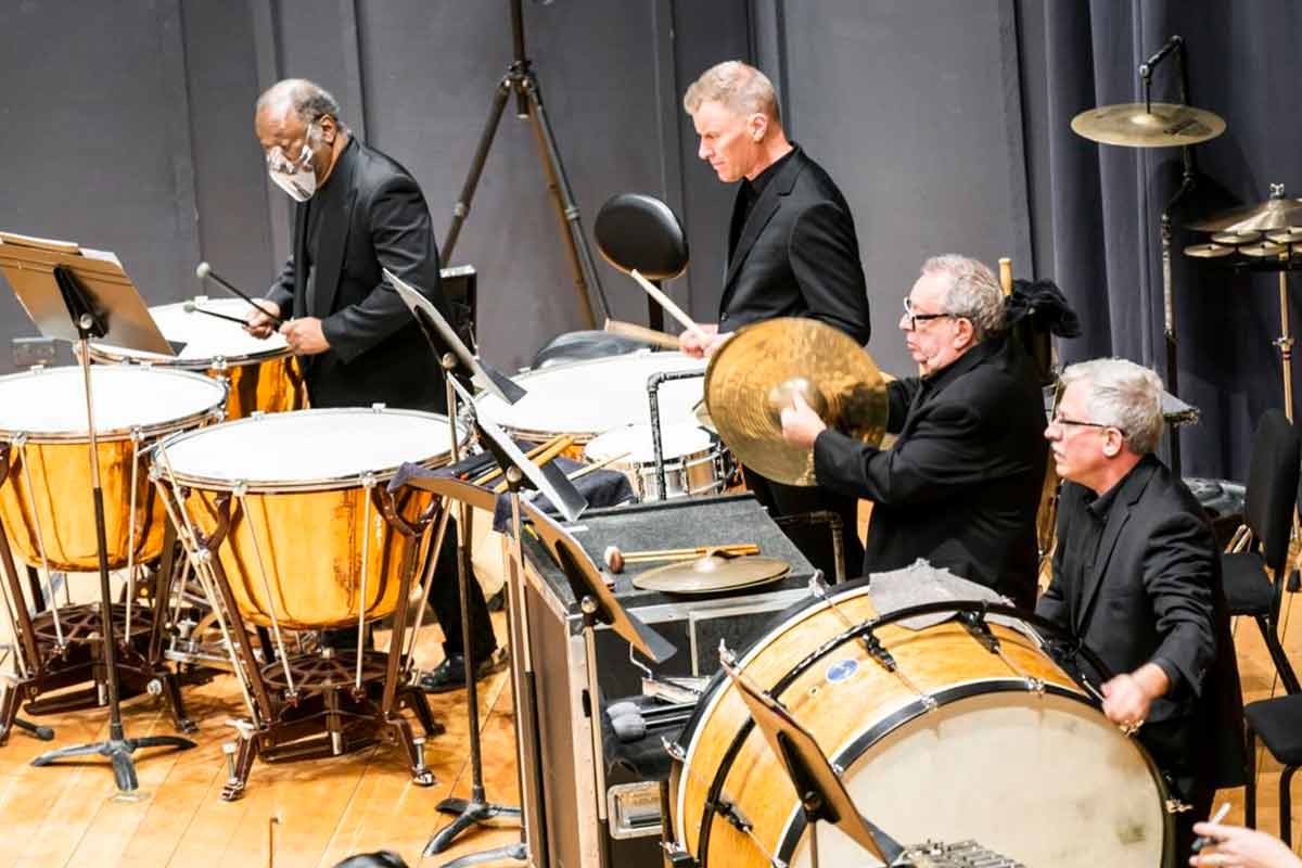 A Quick Guide to the Orchestra Sections - Phamox Music