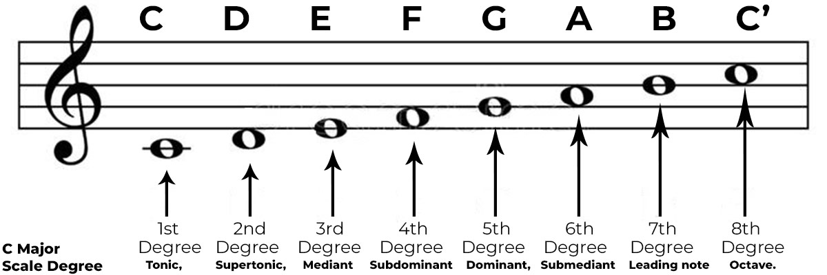 The C Major Scale - General Overview - Phamox Music