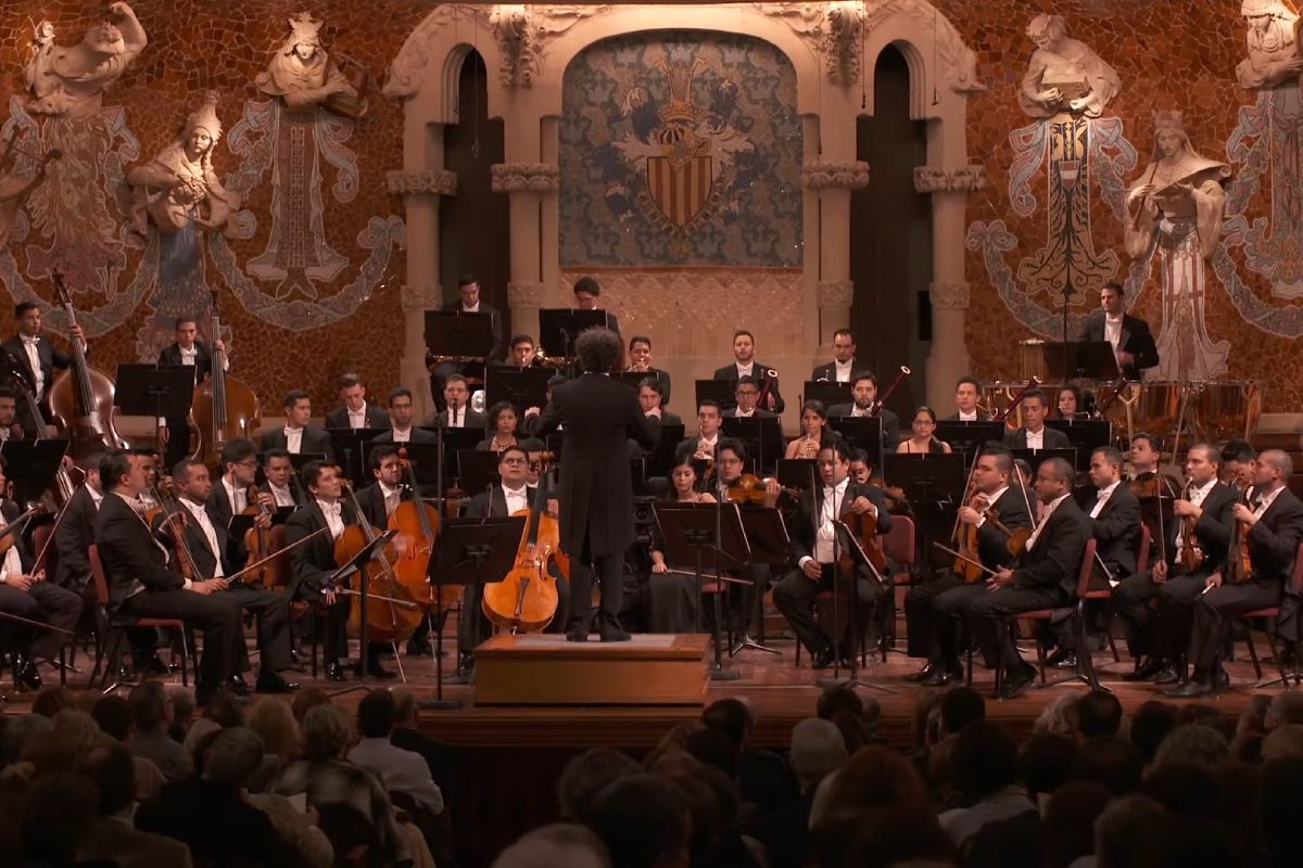 A Quick Guide to the Orchestra Sections - Phamox Music