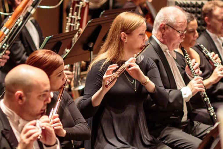 A Quick Guide to the Orchestra Sections - Phamox Music