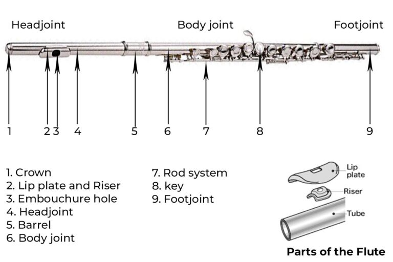 The Parts Of a Flute - Flute Anatomy - Phamox Music