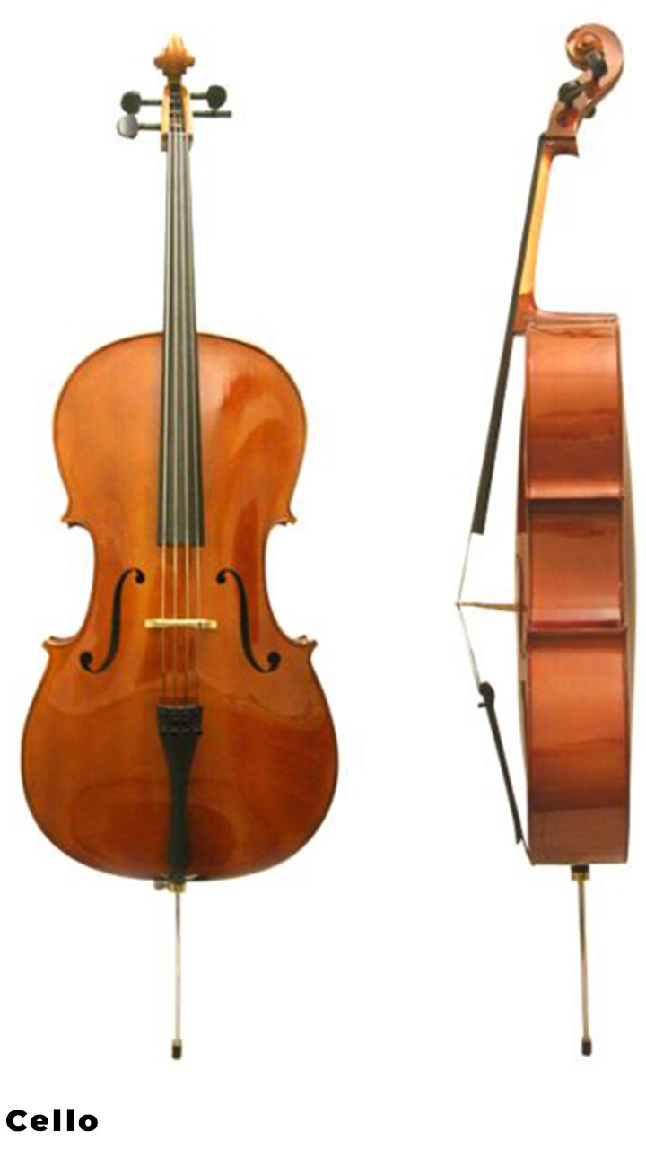 Violin Family - A Quick Guide - Phamox Music
