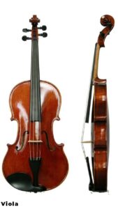 Violin Family - A Quick Guide - Phamox Music