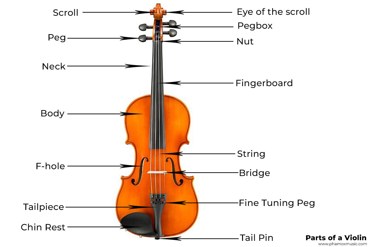 Violin - History, Construction, Parts & Makers - Phamox Music