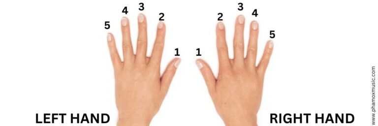 C Major Scale Piano Playing Guide for Beginners - Phamox Music