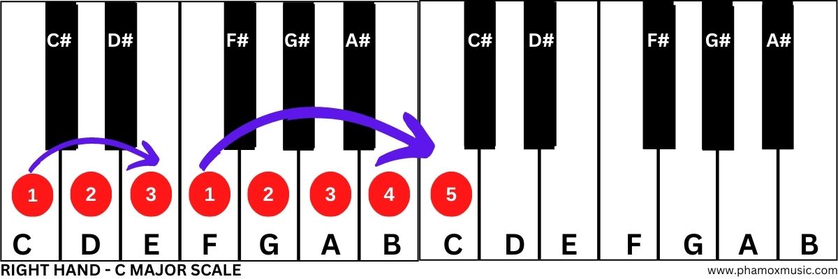 C Major Scale Piano Playing Guide for Beginners - Phamox Music