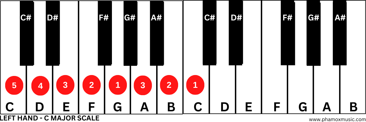 C Major Scale Piano Playing Guide for Beginners - Phamox Music