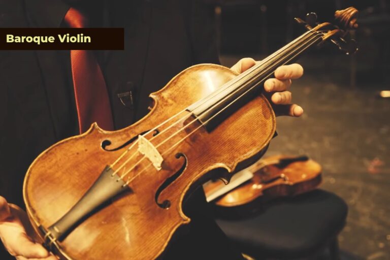 Parts of the Violin: A Comprehensive Guide - Phamox Music