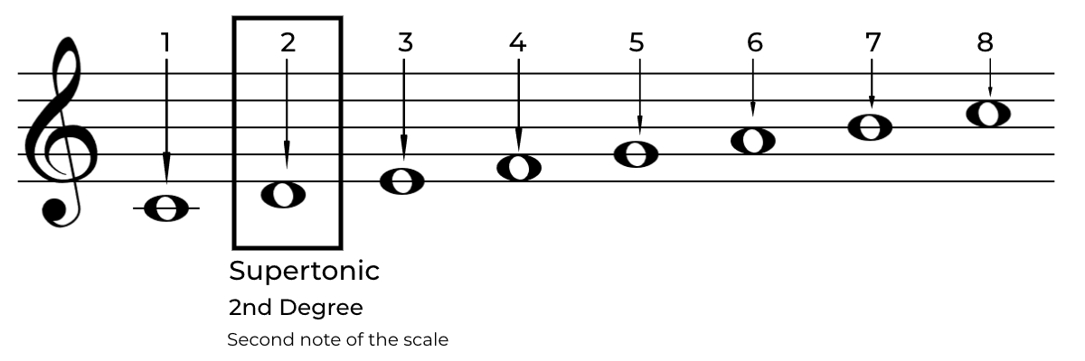 Scale Degrees - Phamox Music