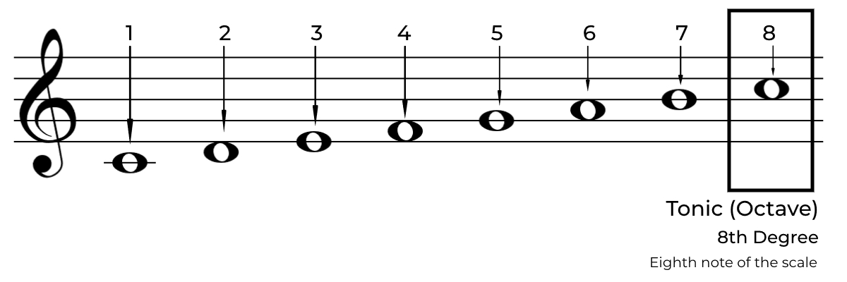 Scale Degrees - Phamox Music