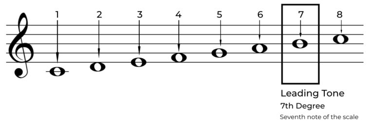 Scale Degrees - Phamox Music
