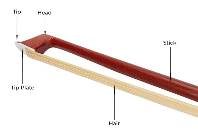 Parts of the Violin Bow: Anatomy and Function - Phamox Music
