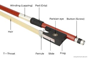 Parts of the Violin Bow: Anatomy and Function - Phamox Music