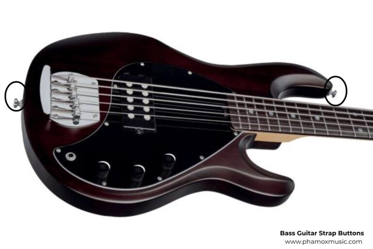 Parts of Bass Guitar: A Complete Guide - Phamox Music