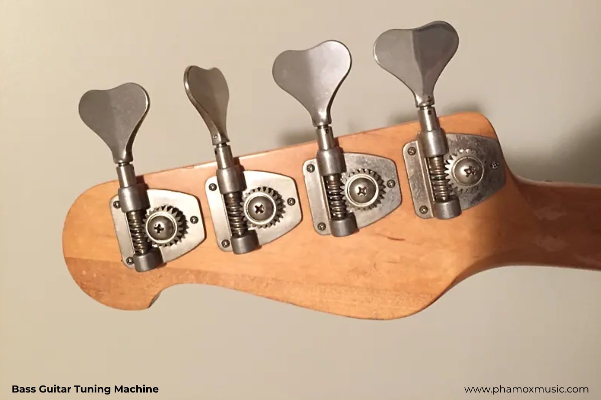 Parts of Bass Guitar: A Complete Guide - Phamox Music
