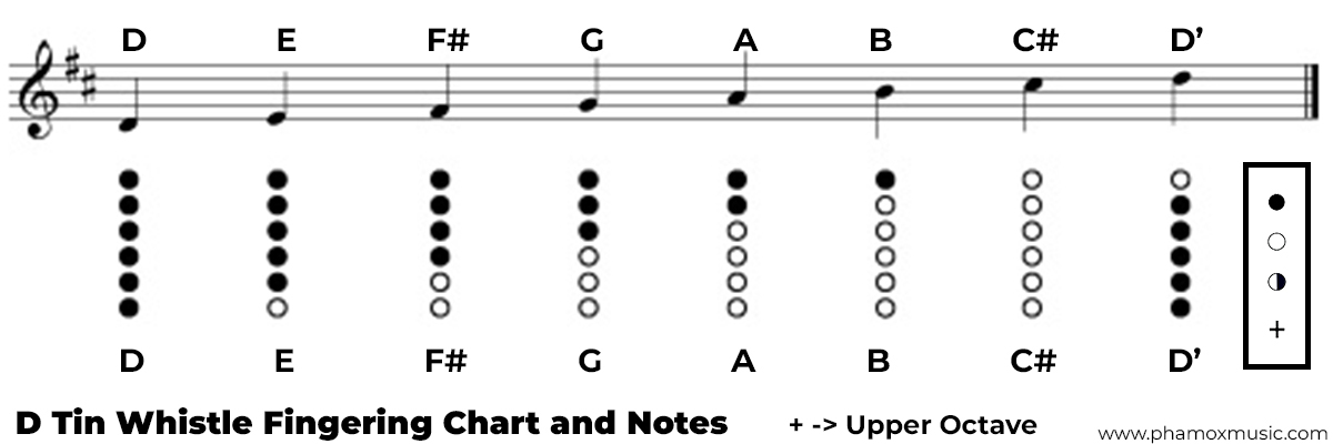 How to Play Tin Whistle - Phamox Music