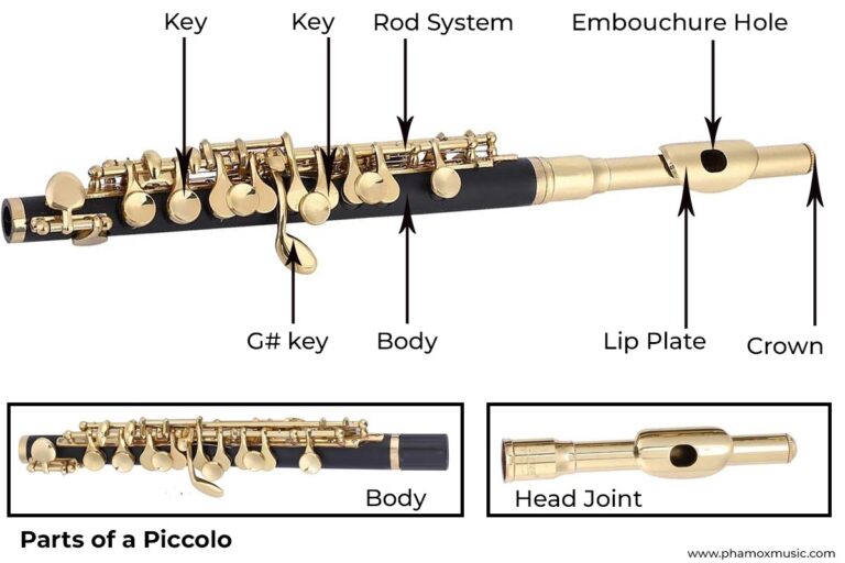 Parts of a Piccolo - Phamox Music