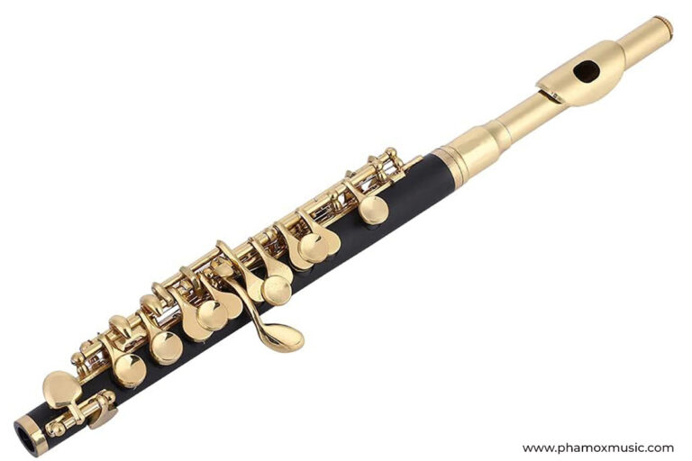 Piccolo: A Musical Instruments - Phamox Music