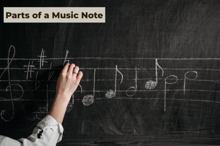 Parts of a Music Note: The Note Anatomy - Phamox Music