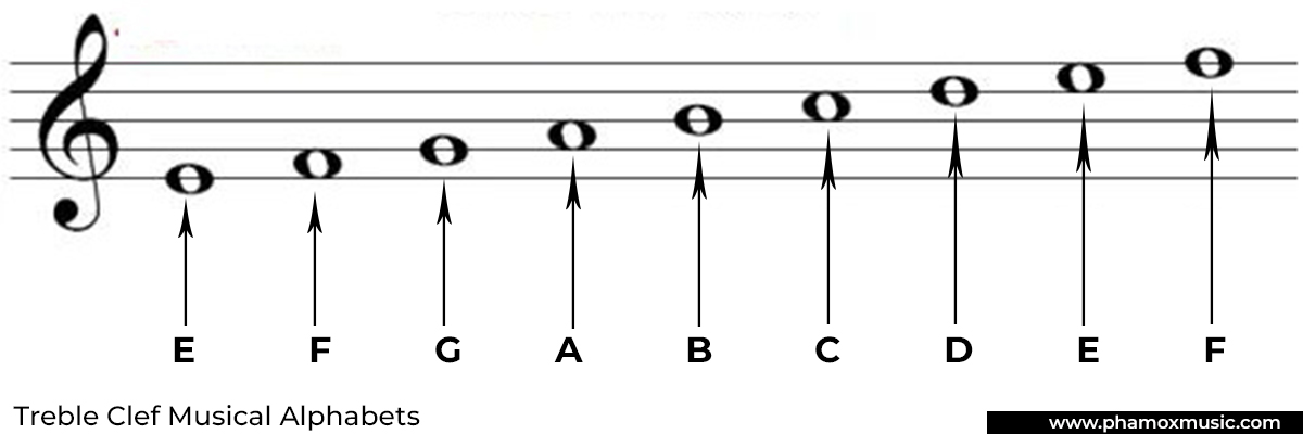 Musical Alphabet: Your Complete Guide - Phamox Music