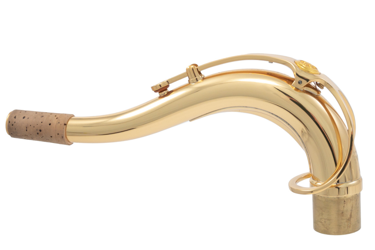 Parts Of a Saxophone You Need To Know - Phamox Music