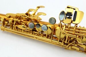 Parts Of a Saxophone You Need To Know - Phamox Music